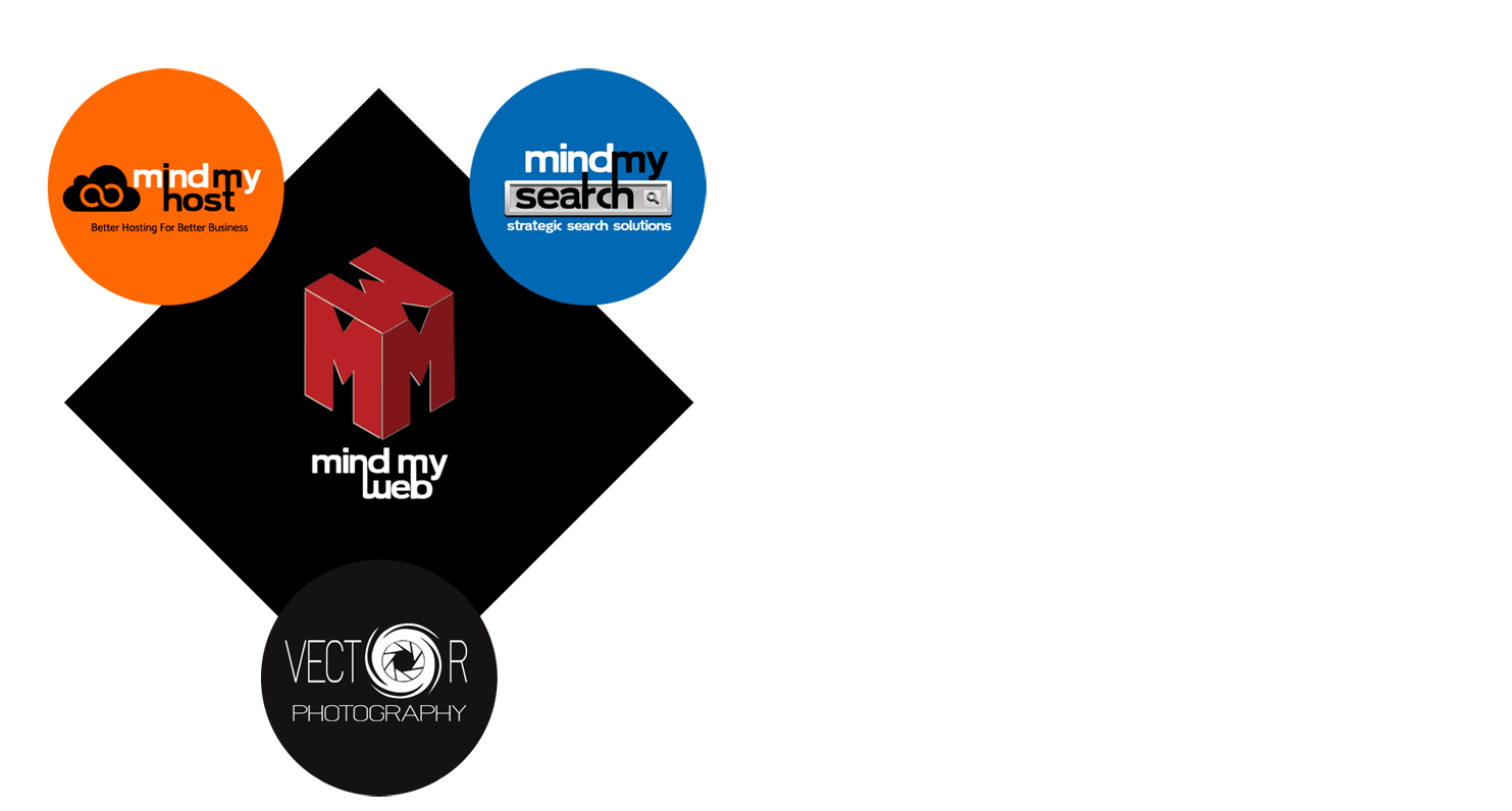Mindmyweb : Web Development Company New Delhi